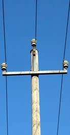 The Environmental Literacy Council - Wood Utility Pole Life Cycle